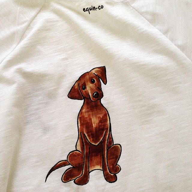 chocolate lab – equin-co designs